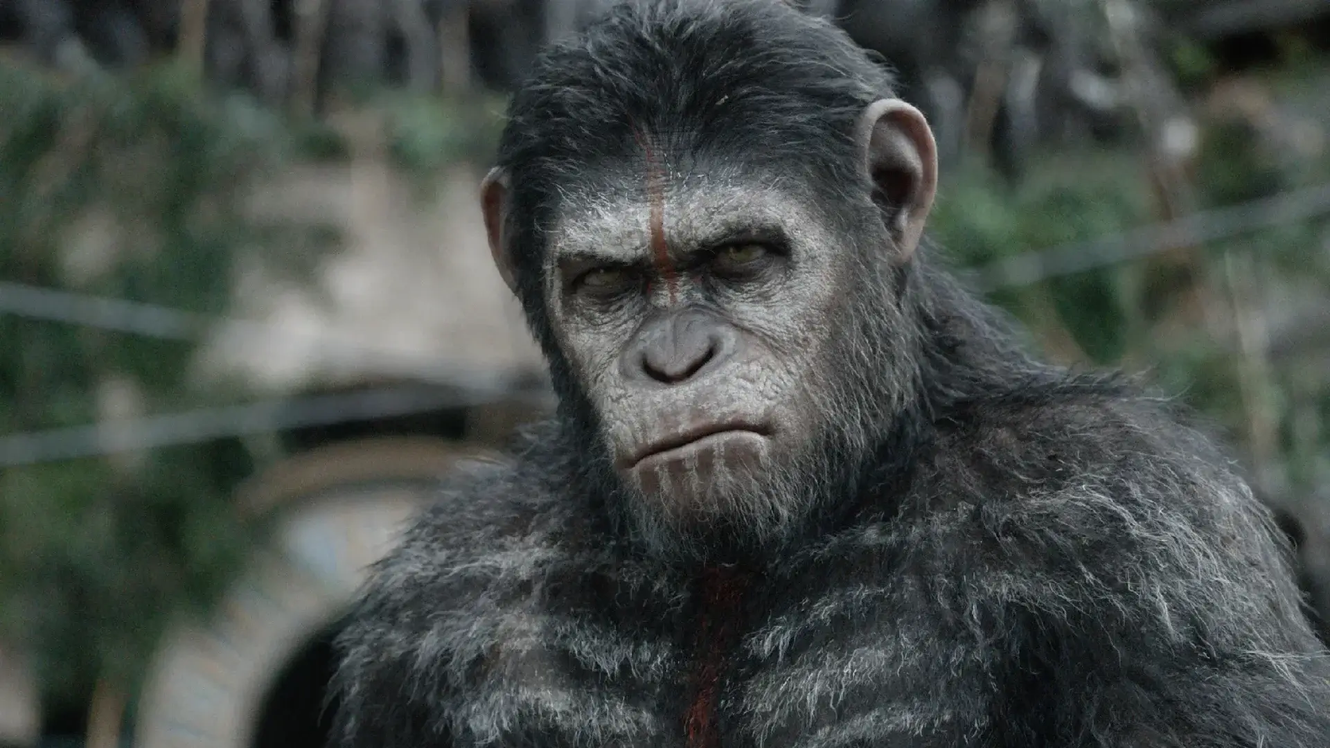 'Planet Of The Apes' Sequel Adds 'Fantastic Four' Director Matt Shakman ...